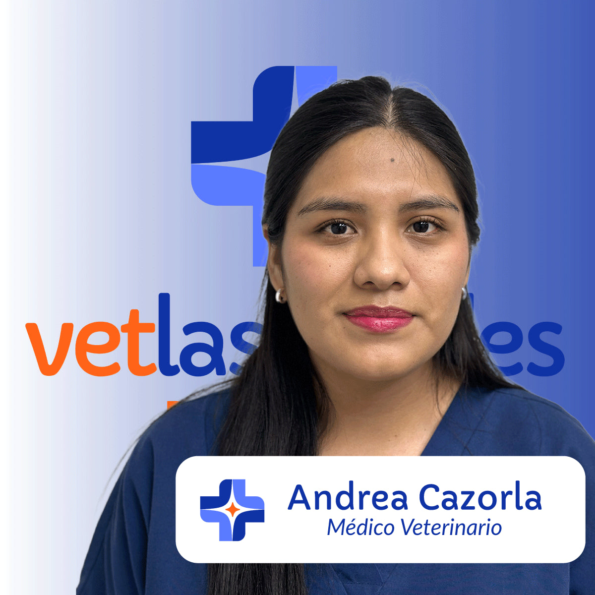 Dra. Andrea Cazorla – Clínica Veterinaria Las Condes