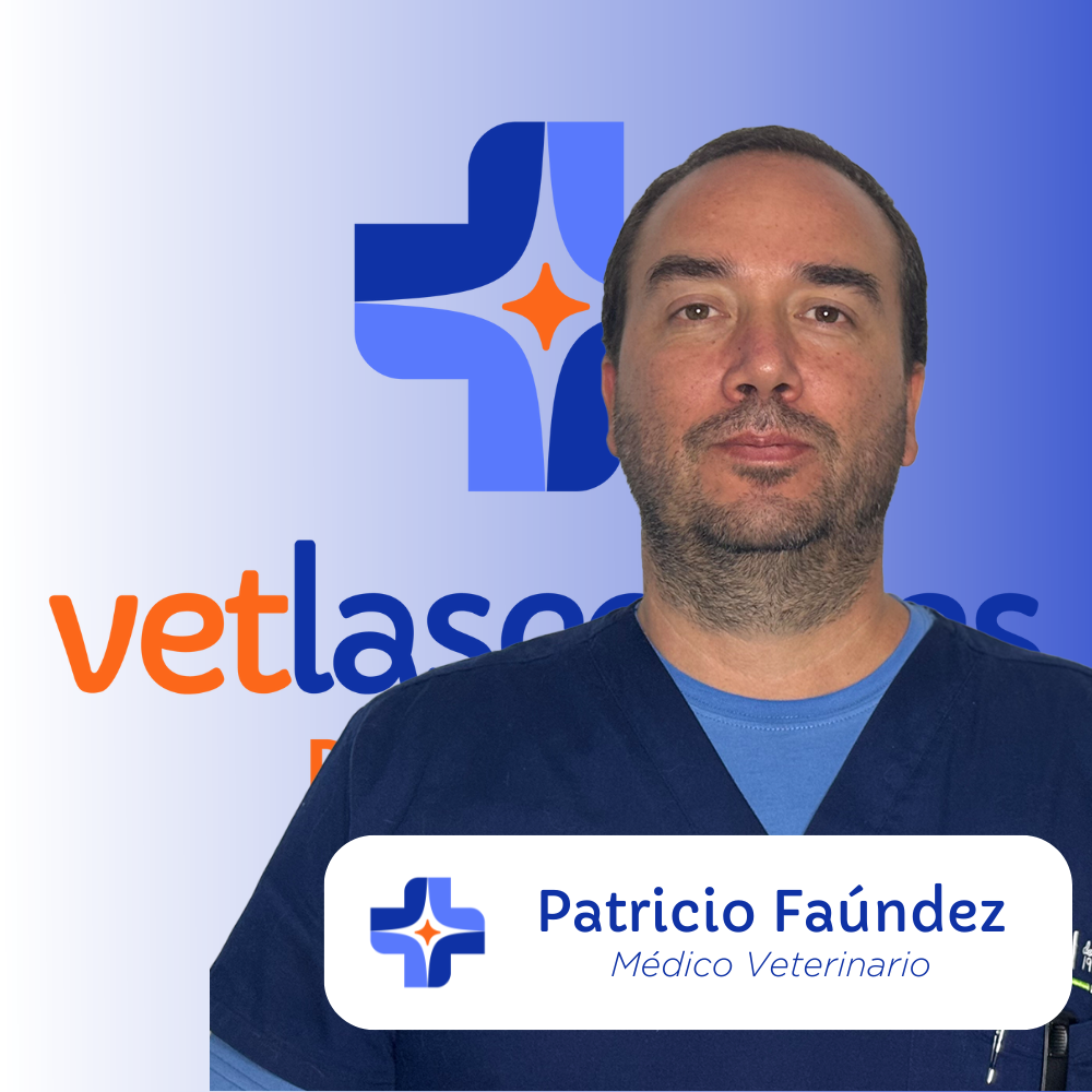 Nuestros Profesionales – Clínica Veterinaria Las Condes