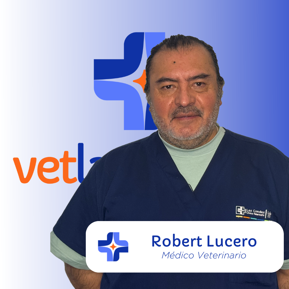 Dr. Robert Lucero – Clínica Veterinaria Las Condes