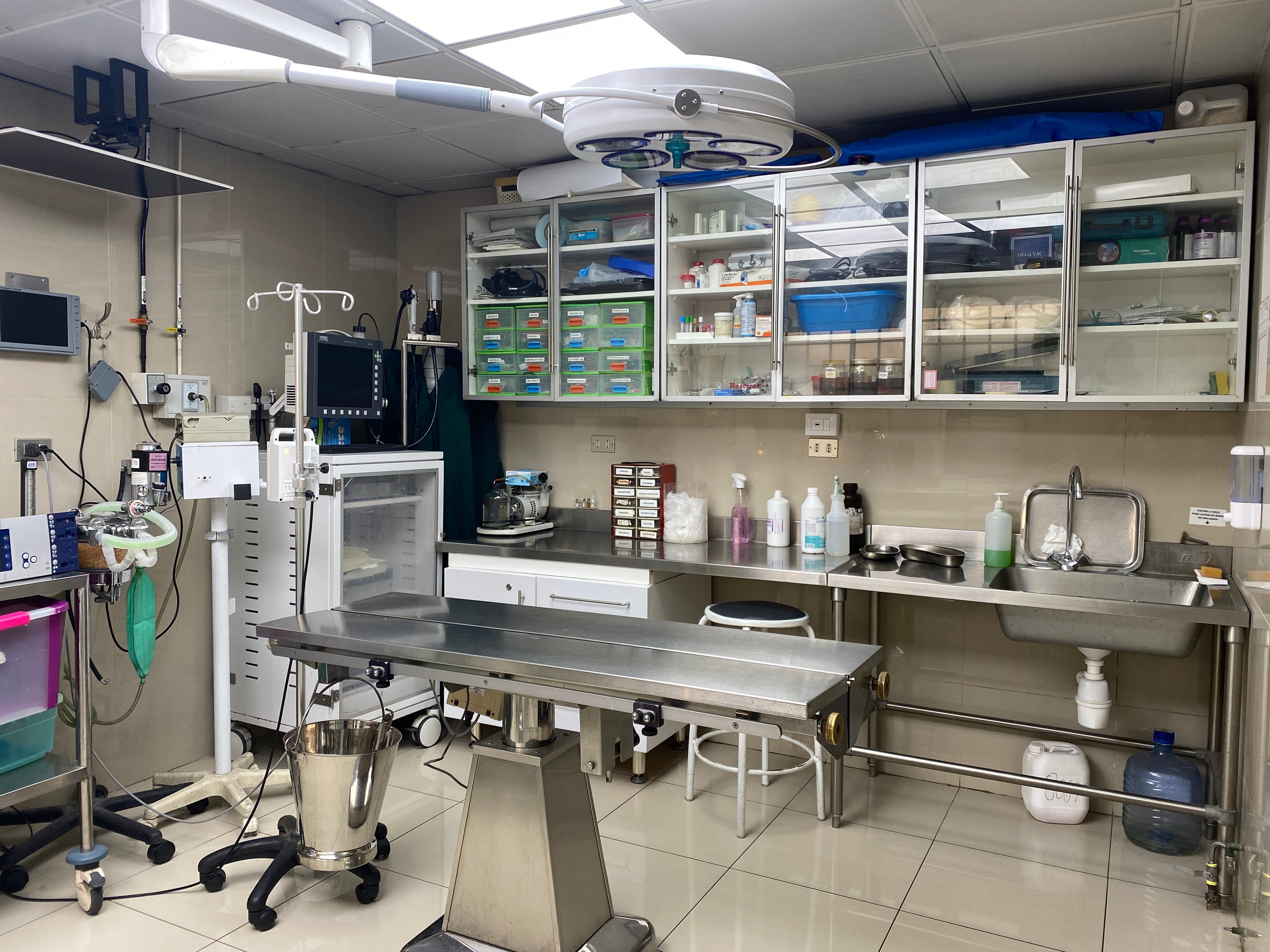 Cirugía – Clínica Veterinaria Las Condes