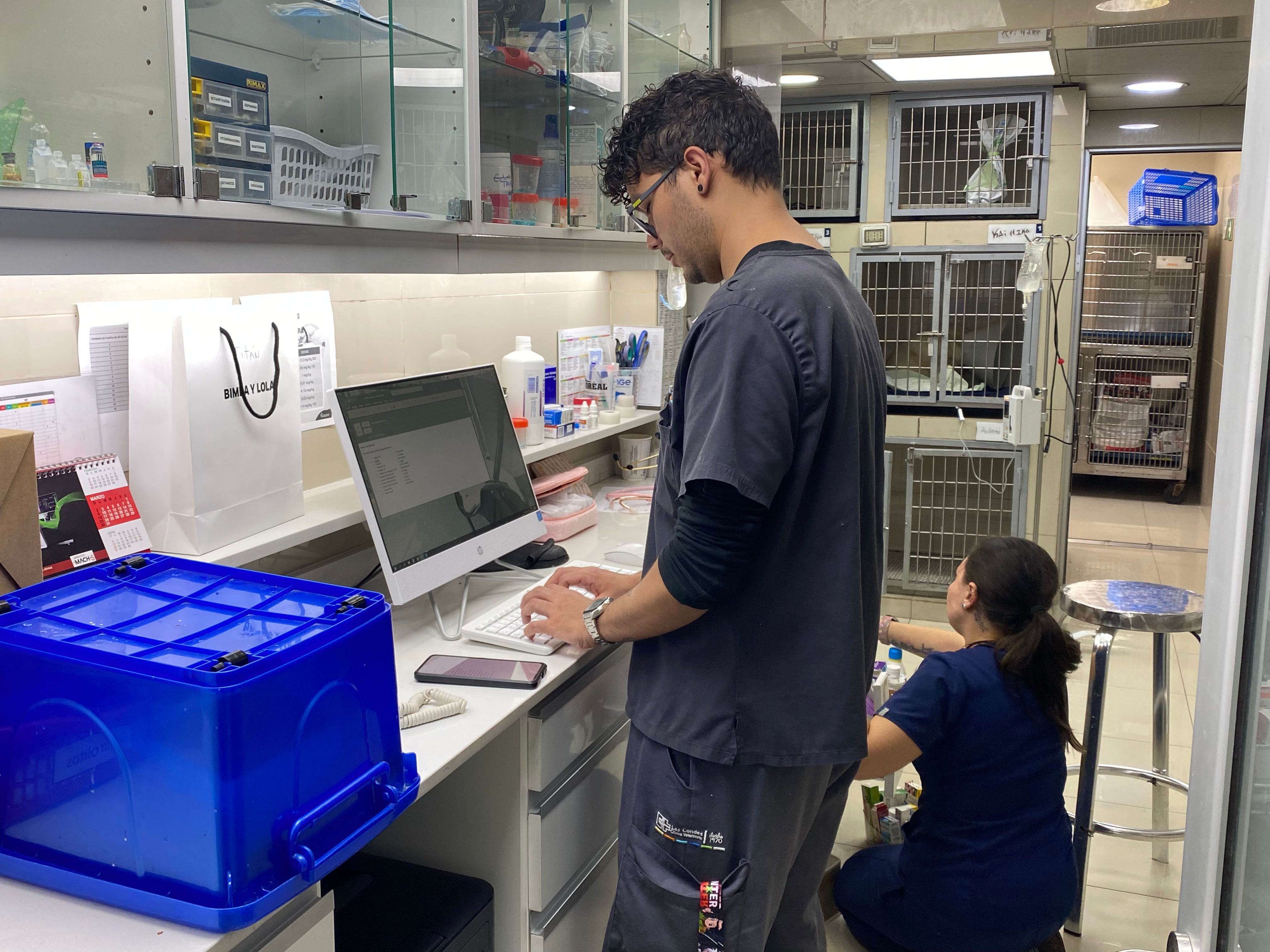 Medicina Preventiva – Clínica Veterinaria Las Condes