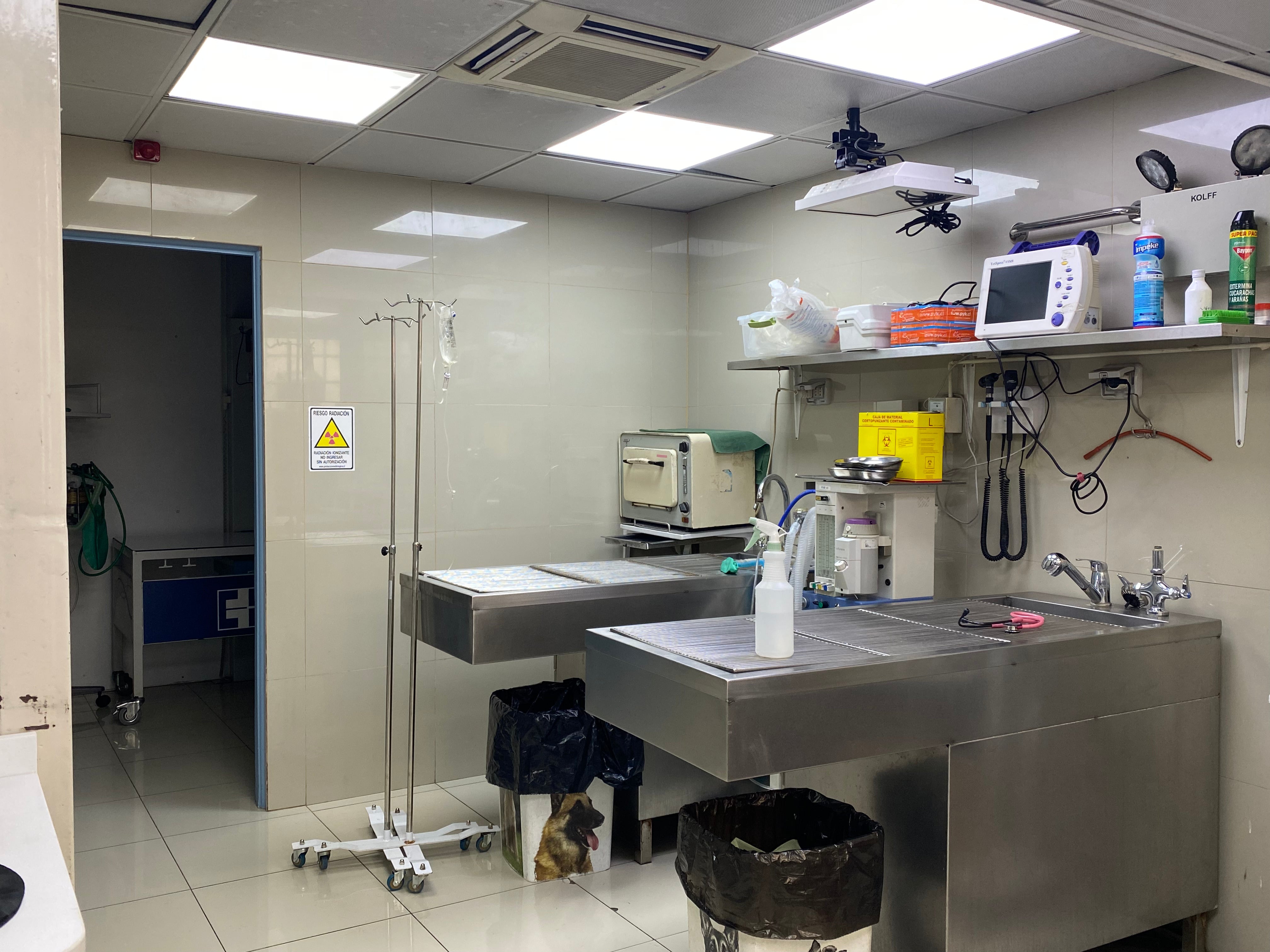 Urgencias – Clínica Veterinaria Las Condes