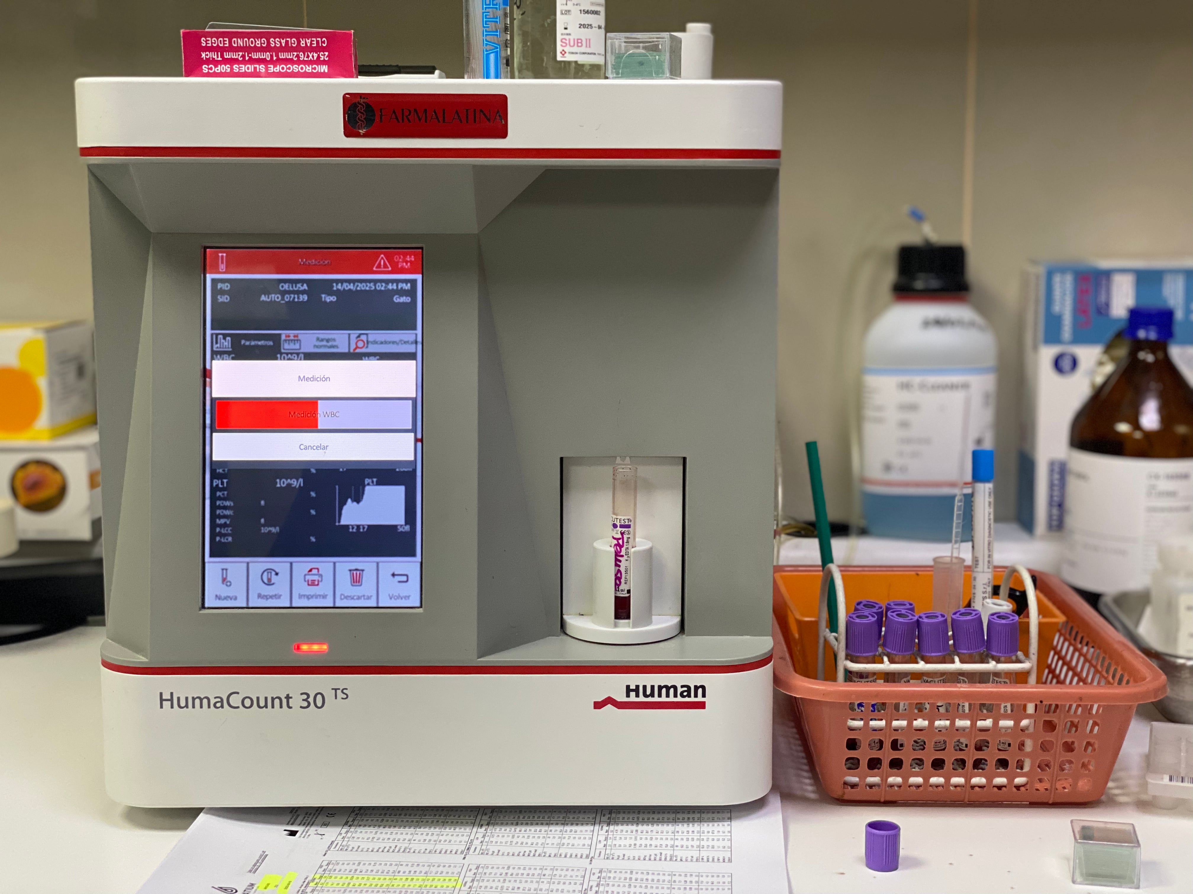 Laboratorio Clínico – Clínica Veterinaria Las Condes